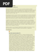 Check List Formulario | PDF | Carta de crédito | aduana