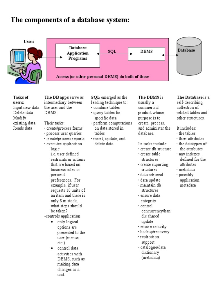 The Components of A Database System | PDF | Spreadsheet | Databases