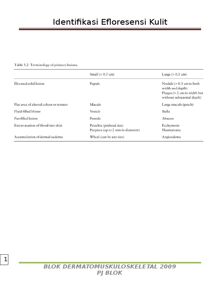 Efloresensi Kulit | PDF