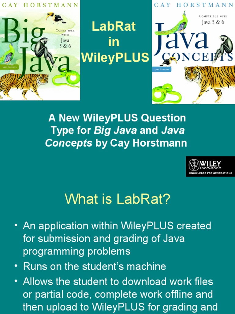 Lab Rat | PDF | Java (Programming Language) | Source Code