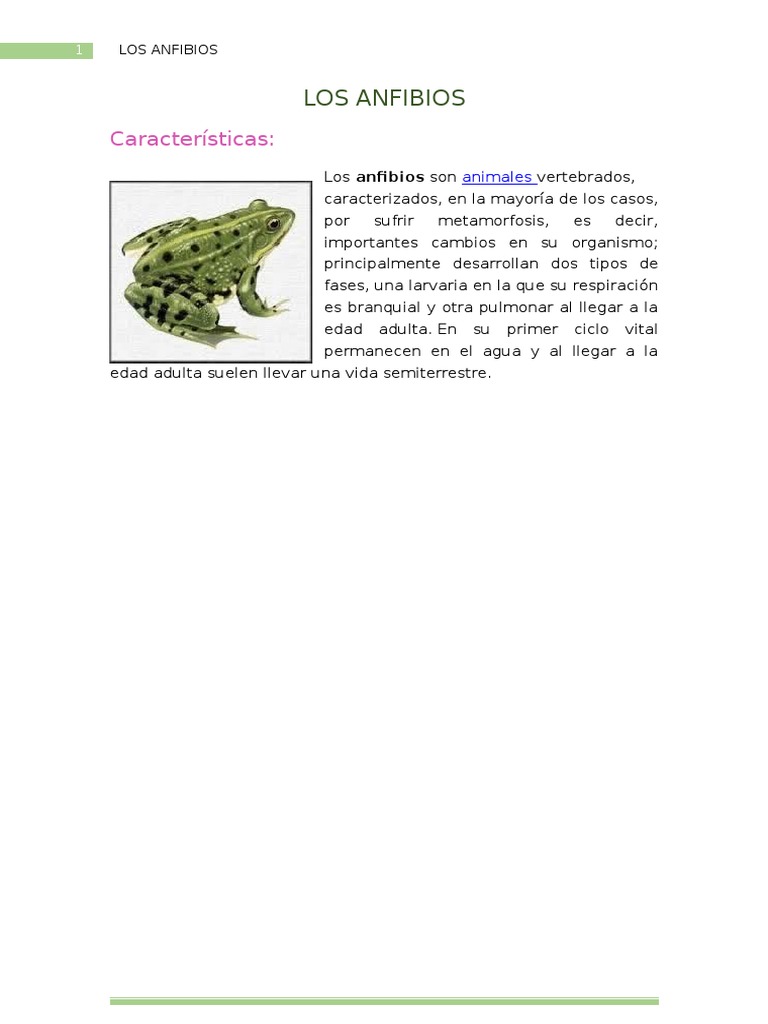 Características y Clases de Anfibios | PDF | Anfibio | Larva