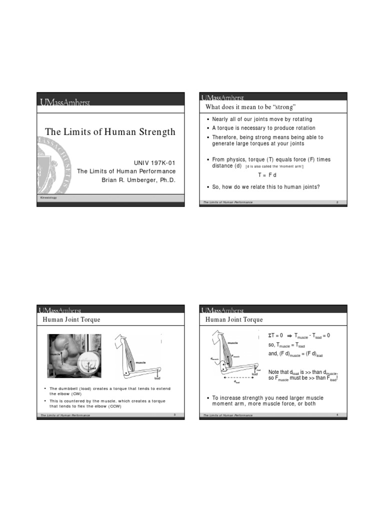 The Limits of Human Strength: What Does It Mean To Be "Strong" | PDF ...