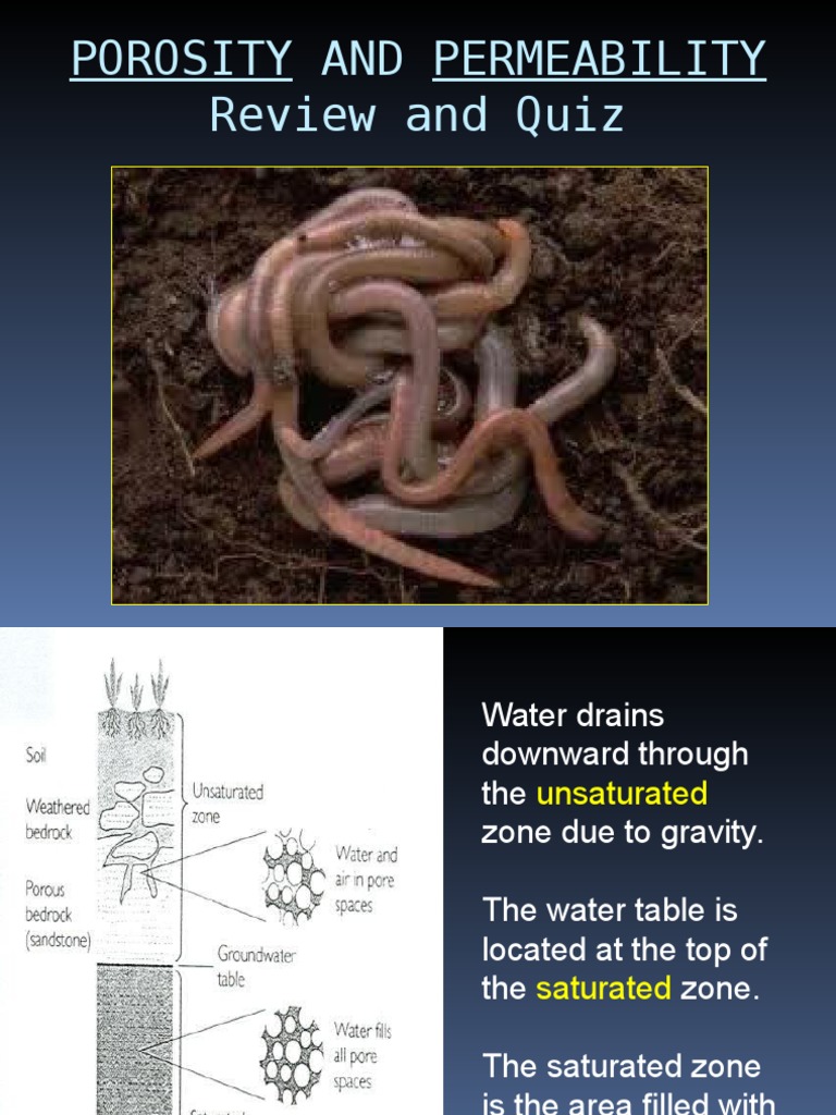 Geology Lab: Porosity & Permeability | PDF | Porosity | Sediment