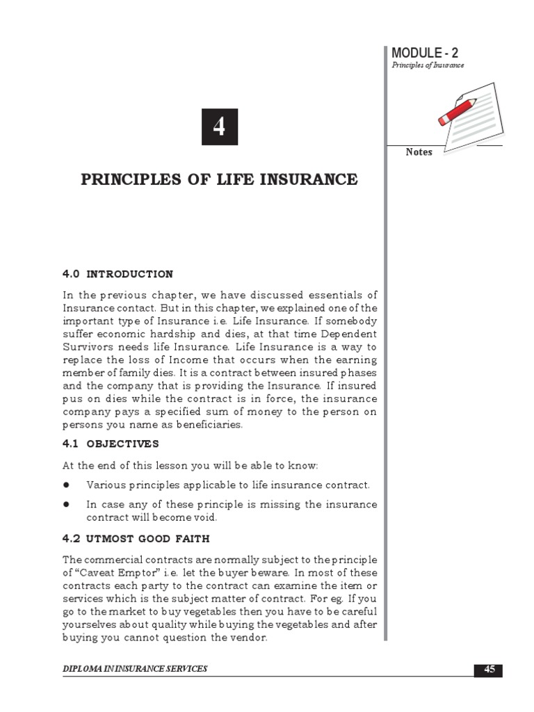 LIFE INSURANCE PRINCIPLES | PDF | Insurance | Debt