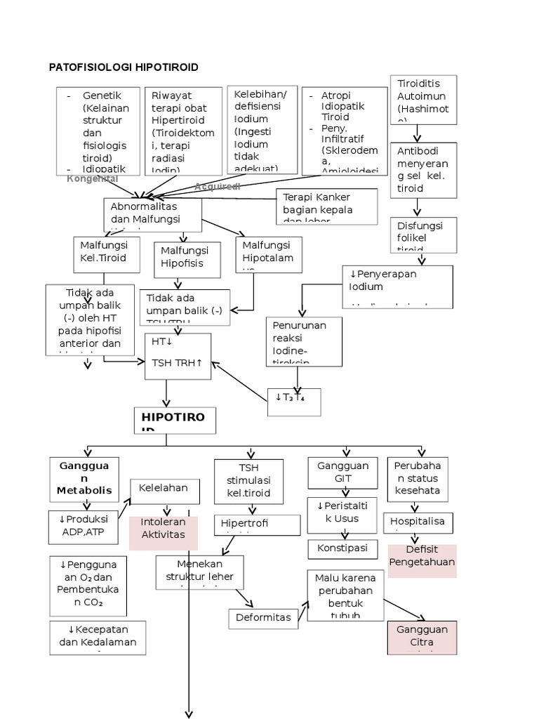 Patofisiologi Hipotiroid Gab. Memey Hsnah | PDF