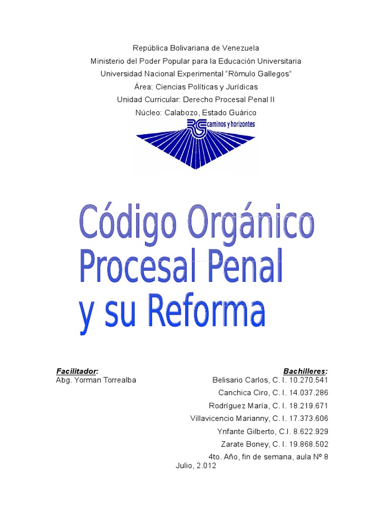Análisis Del Copp | PDF | Derecho penal | Ley procesal