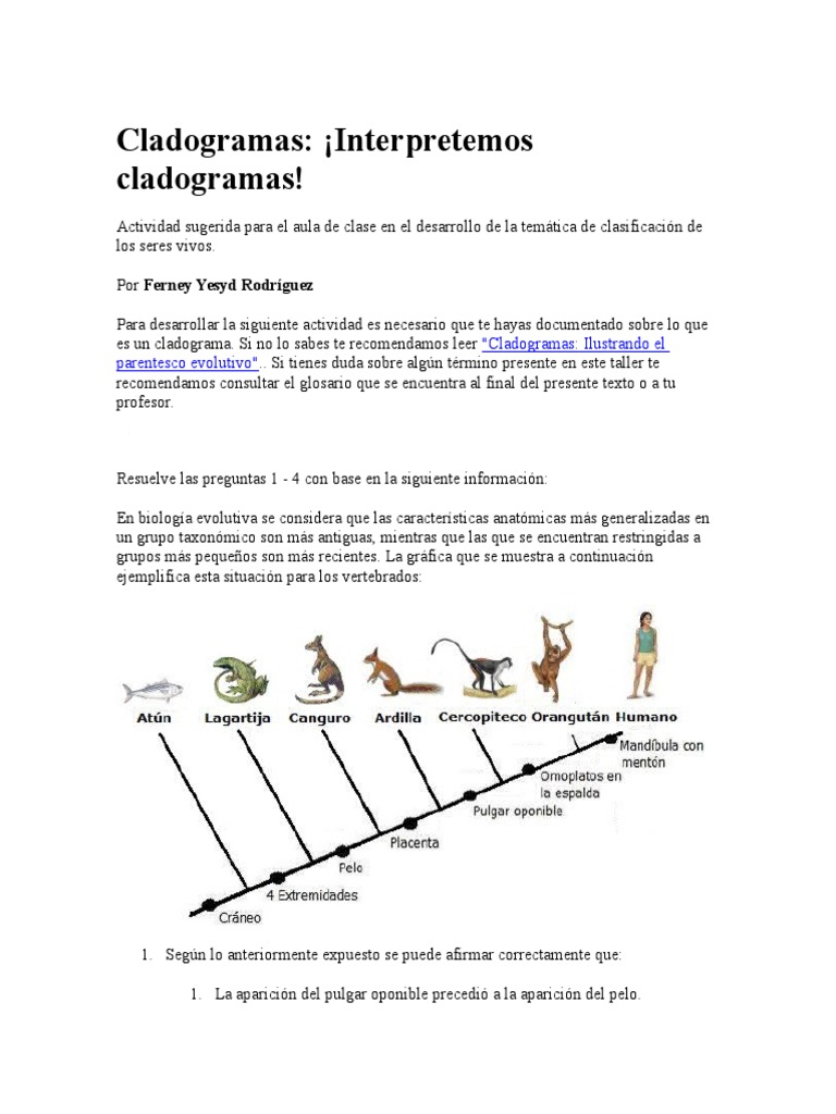 Cladogramas | PDF | Clade | Evolución