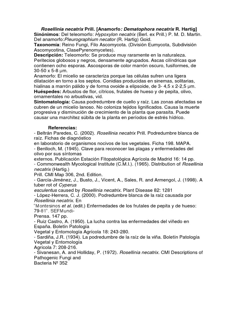 Dematophora Necatrix Reseña | PDF