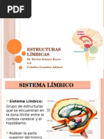 Ejercicios de Rittenberg | PDF | Rodilla | Abdomen