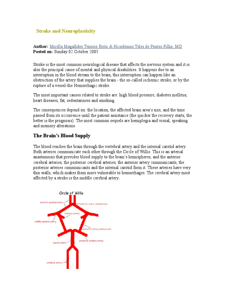 Stroke and Neuroplasticity (1) .. | PDF | Neuroplasticity | Stroke