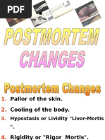 Stages of Post Mortem Lividity and Putrefaction of The Body | PDF ...