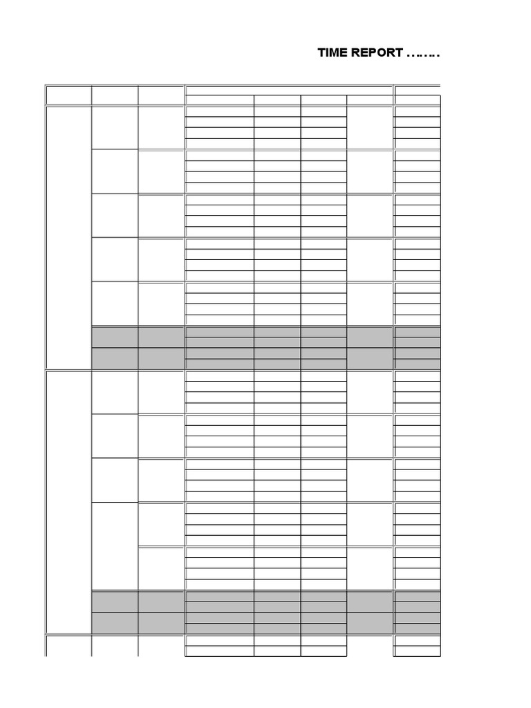 Monthly Time Report | PDF