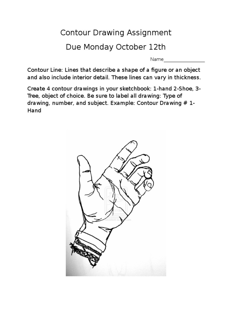 Contour Drawing Assignment Guide | PDF