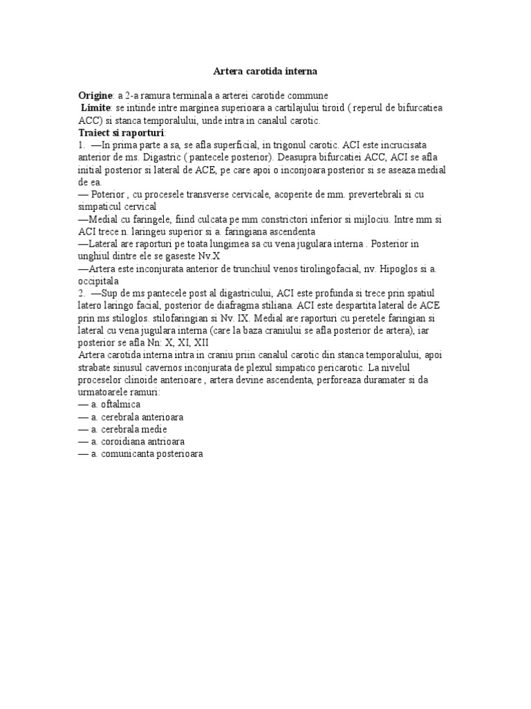 Artera Carotida Interna | PDF