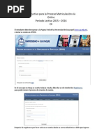 UNEV Instructivo para Seleccion PROBUS ACADEMY | PDF