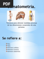 Perímetro Torácico | PDF | Salud y bienestar | Ciencia y matemáticas