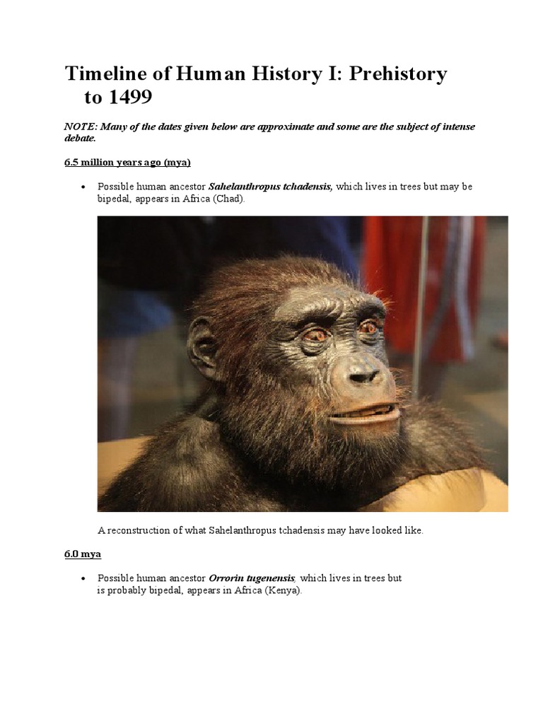 Timeline of Human History I | PDF | Homo | Augustus