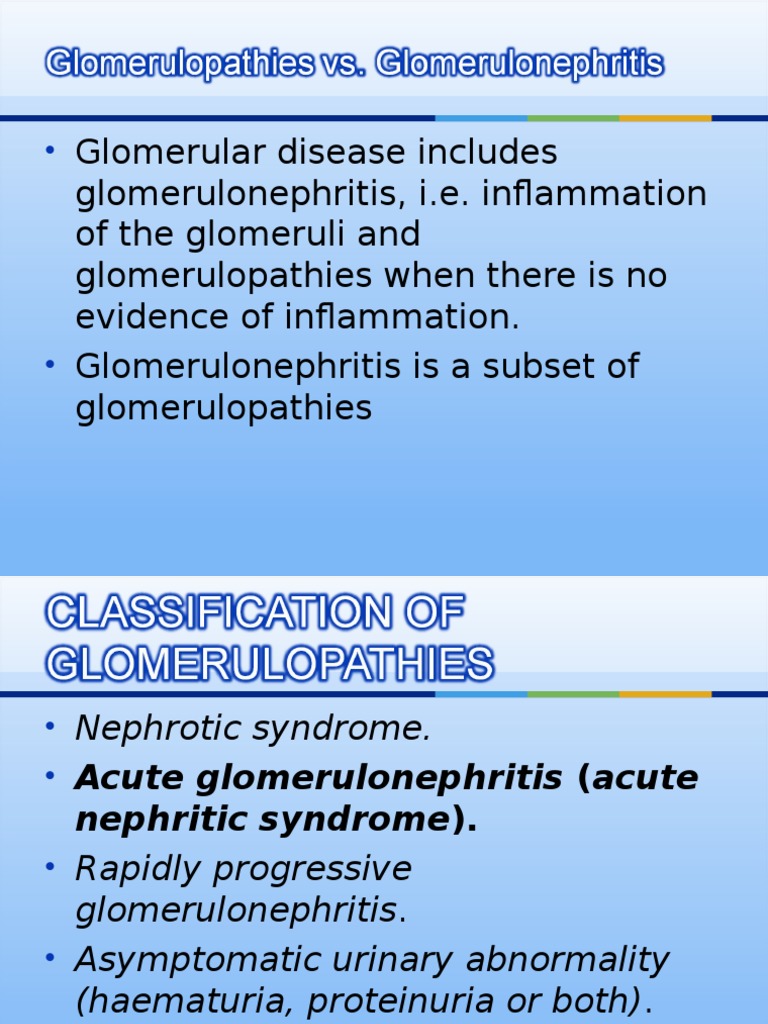 Glomerulonephritis.ppt | Chronic Kidney Disease | Kidney