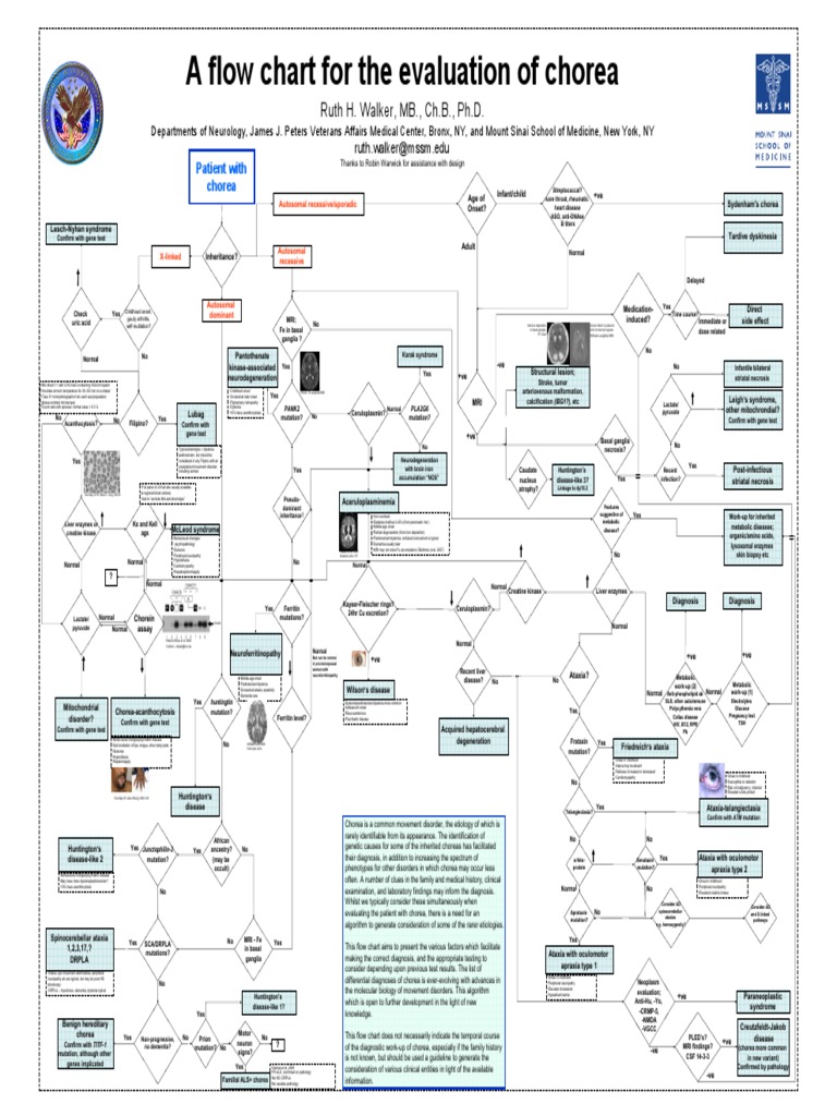chorea approach.pdf | Neurology | Neurological Disorders