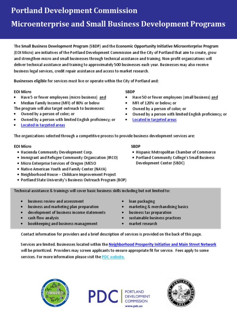 Micro and Small Business Development Programs | PDF | Small Business ...