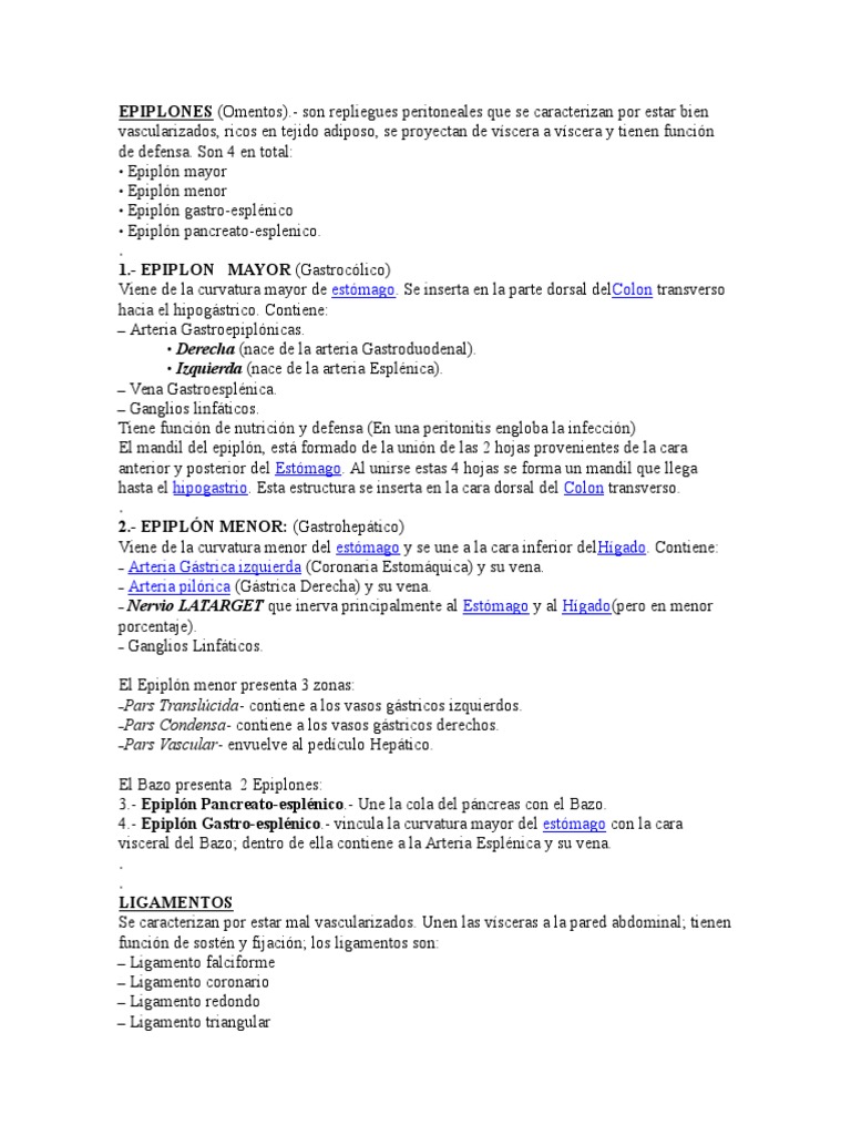 EPIPLONES | PDF | Estómago | Órgano (anatomía)