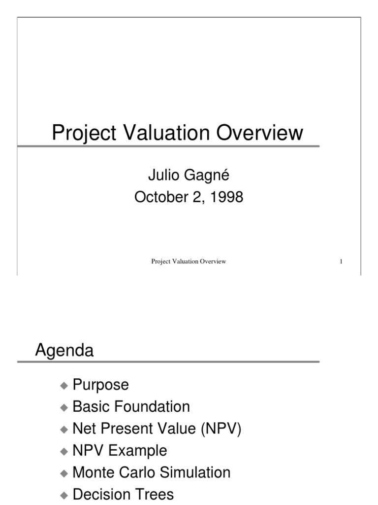 Project Valuation Overview: Julio Gagné October 2, 1998 | PDF | Net ...