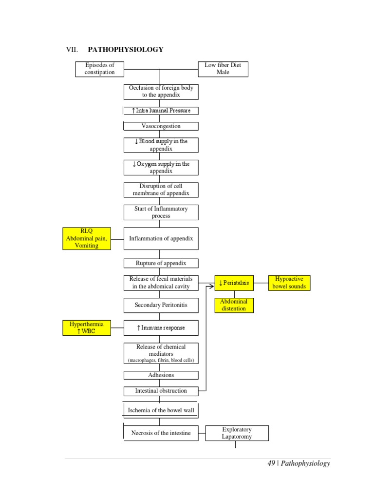 Pathophysiology of Appendicitis Explained | PDF | Shock (Circulatory ...