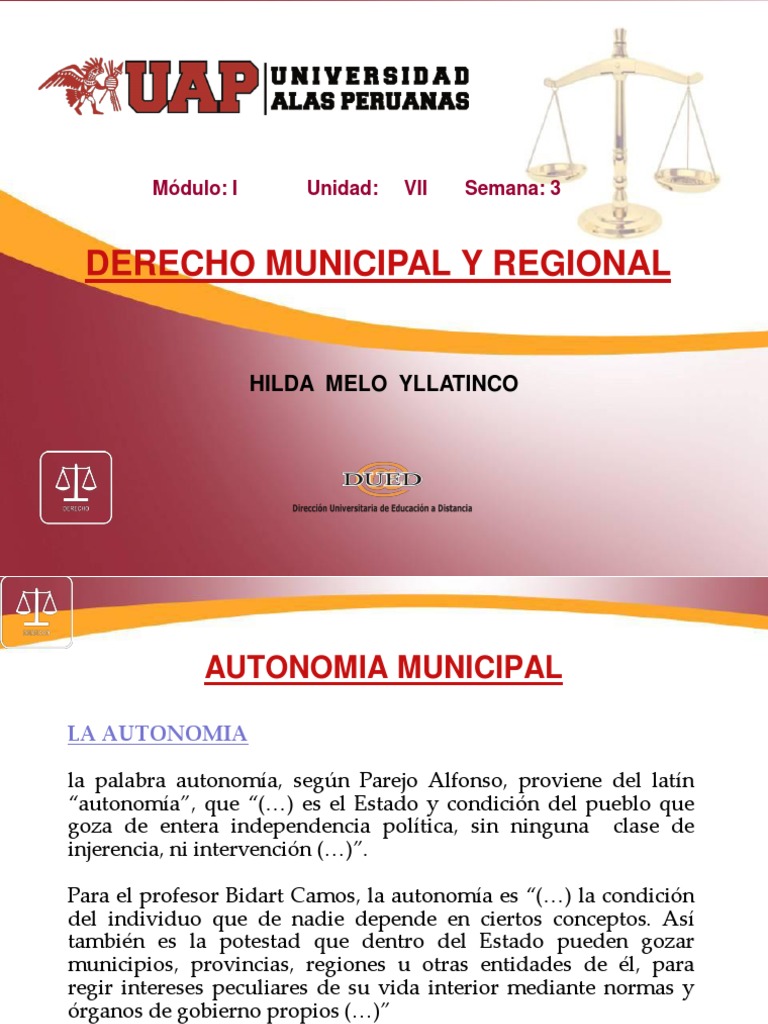 Autonomía Municipal y Gobierno Local | PDF | Gobierno local | Alcalde