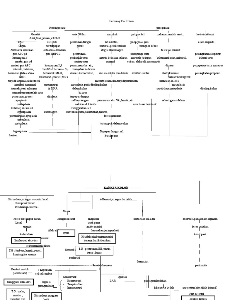 Pathway Kanker Kolon dan Penatalaksanaannya | PDF