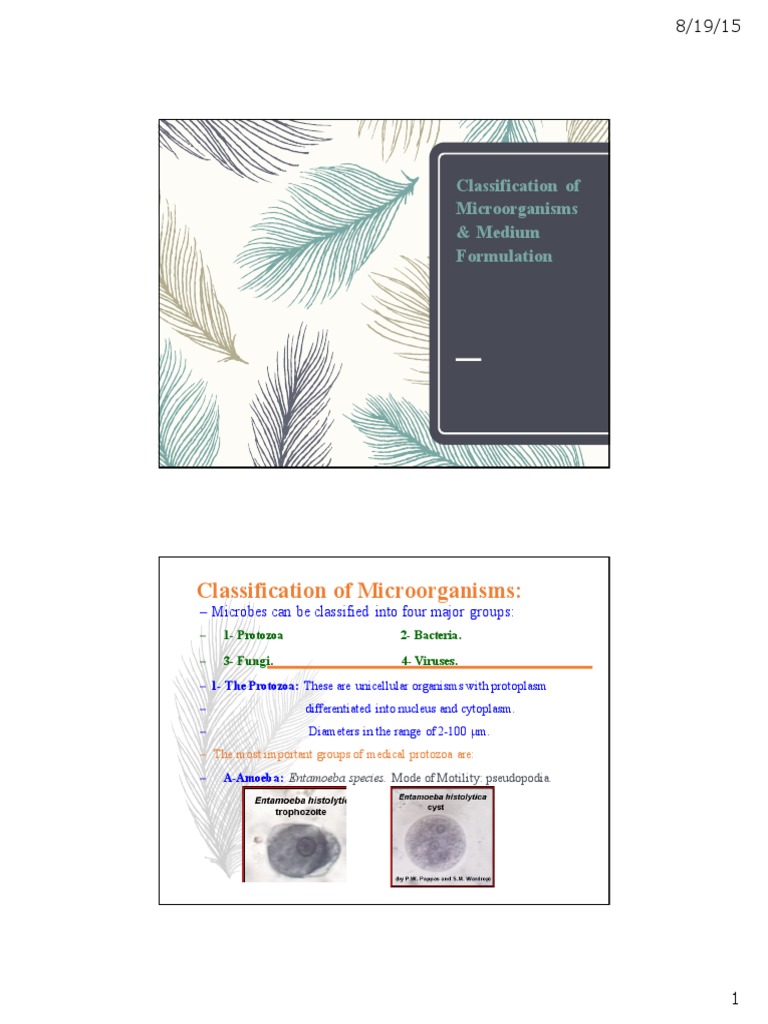 Microorganism Classification and Media Types | PDF | Growth Medium ...