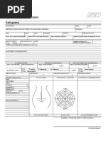 Carnet Perinatal Completo | PDF | El embarazo | Parto