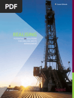 BARACARB | PDF | Chemistry | Nature