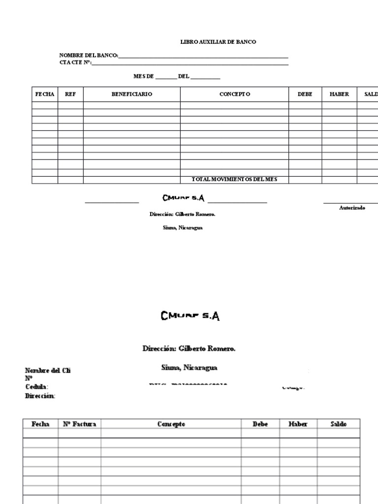 Formatos Contables Auxiliares | PDF | Finanzas y dinero