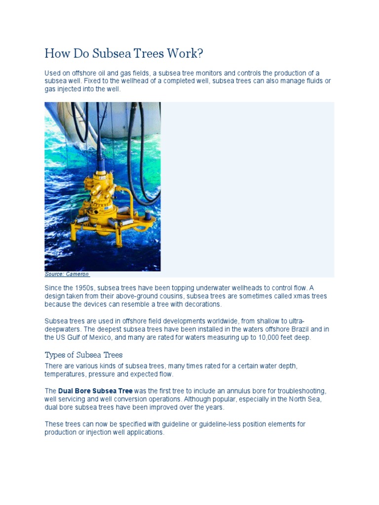 How Do Subsea Trees Work? | PDF