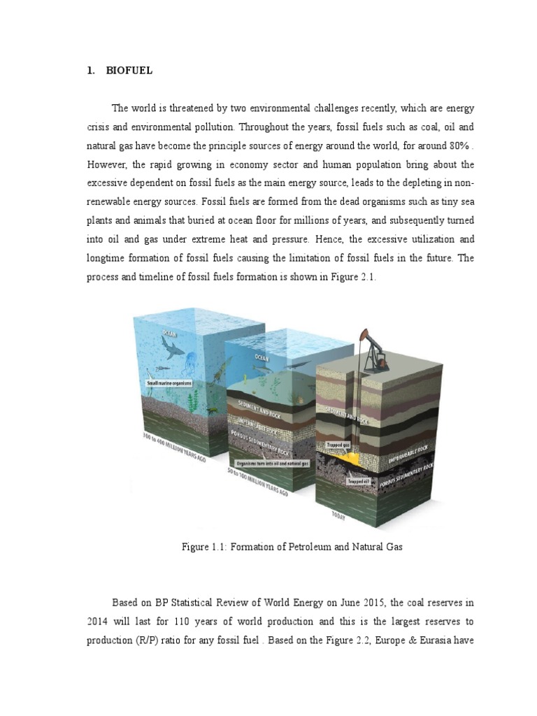 Bioethanol | PDF | Biofuel | Fossil Fuels