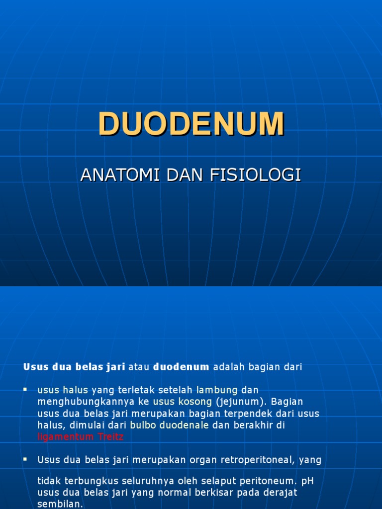 ANATOMI DAN FISIOLOGI DUDODENUM | PDF
