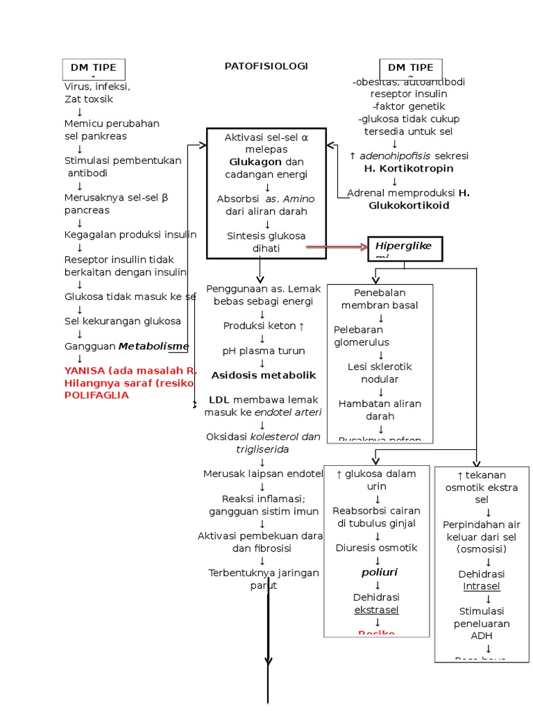 Patofisiologi Diabetes Melitus Tipe 1 Dan 2 | PDF