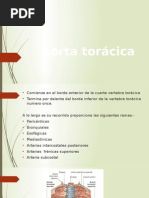 Vena Ácigos y Hemiácigos | PDF | Historia | Clásicos