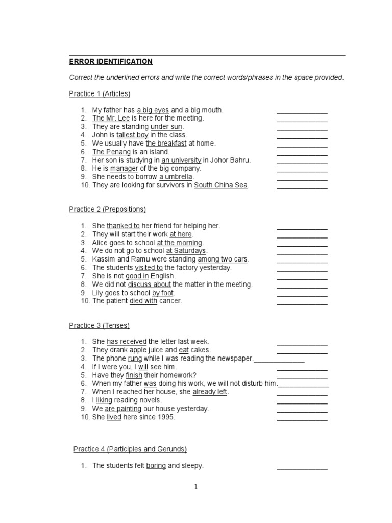 Error Identification Exercises | PDF | Linguistic Morphology | Linguistics