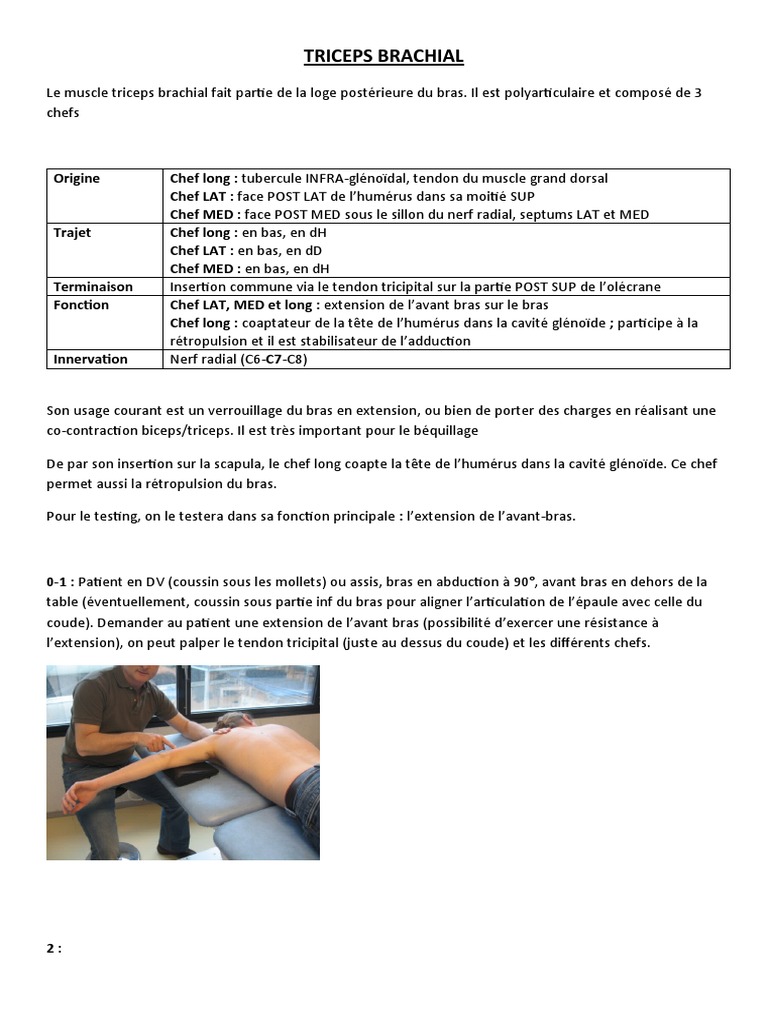 Testing du Triceps Brachial et Rétropulsion | PDF | Bras | Coude