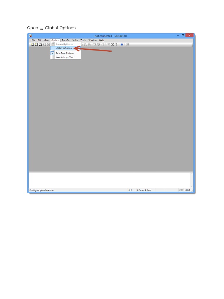 Securecrt Logging | PDF | Finance & Money Management | Technology & Engineering