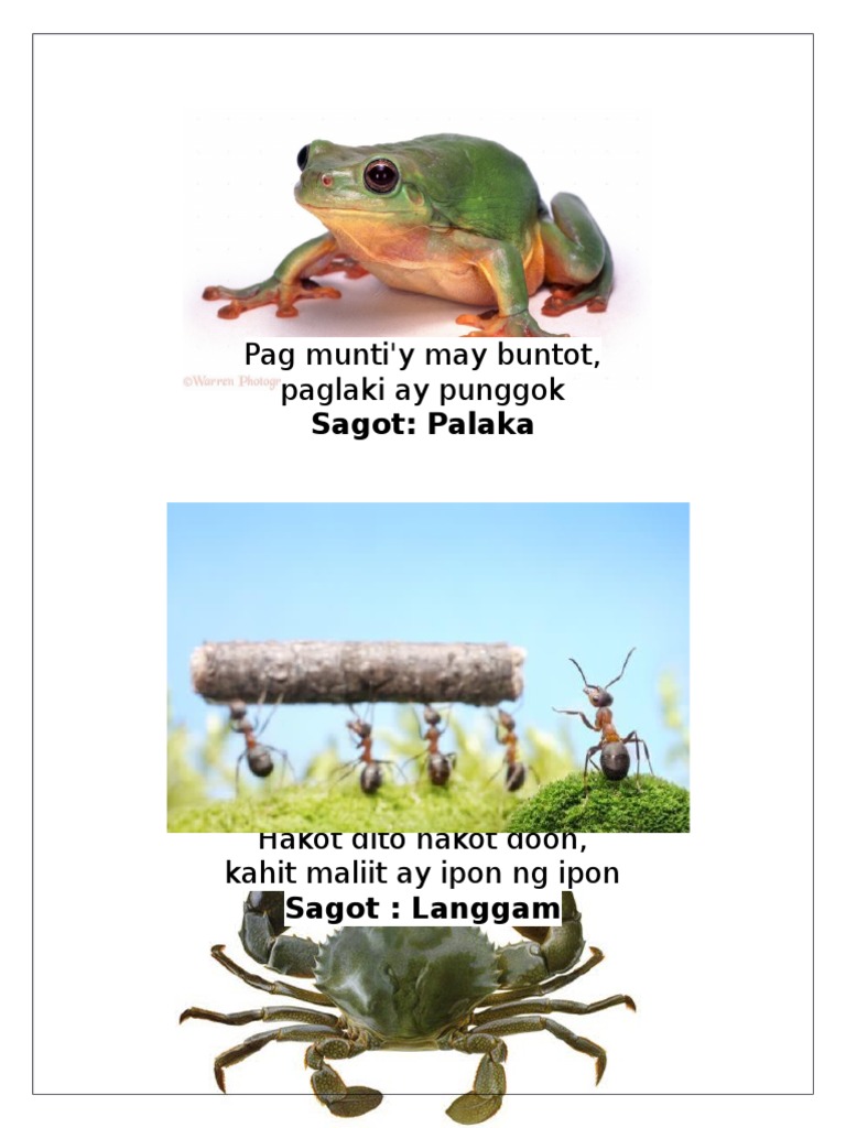 Bugtong With Pictures | PDF