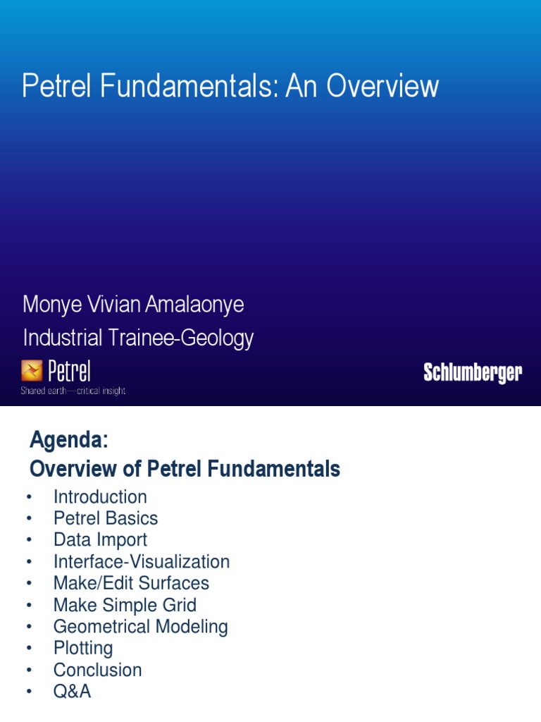 Petrel Fundamentals | Download Free PDF | Windows Vista | Microsoft Windows