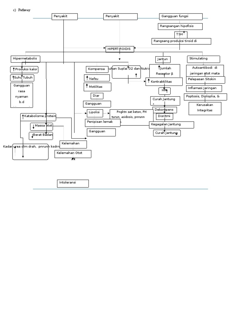 Pathway Hipertiroid | PDF