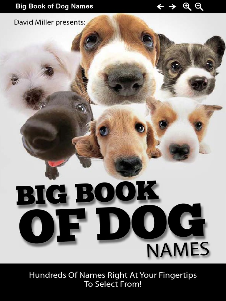 Big Book of Dog Names | PDF | Pit Bull | Dog Training
