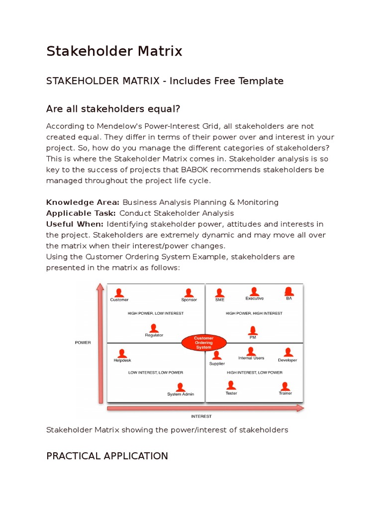 Stakeholder Analysis Guide | PDF | Career & Growth