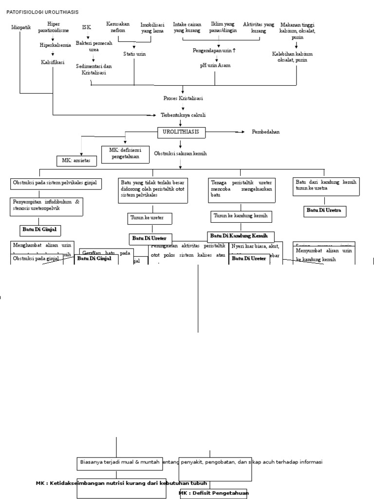 Patofisiologi Urolithiasis | PDF