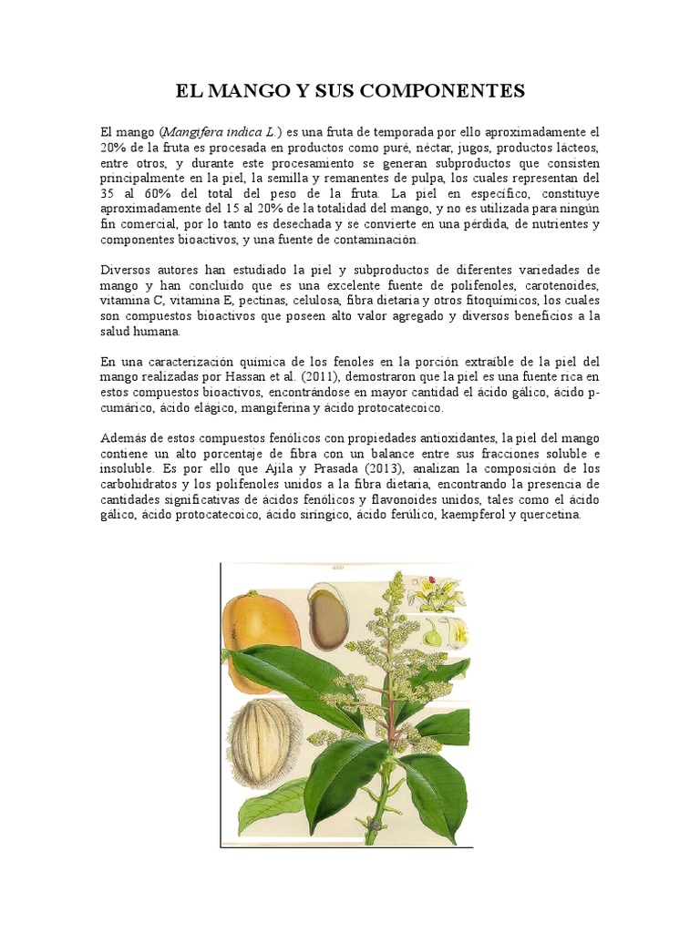 El Mango y Sus Componentes | PDF | Antioxidante | Estrés oxidativo