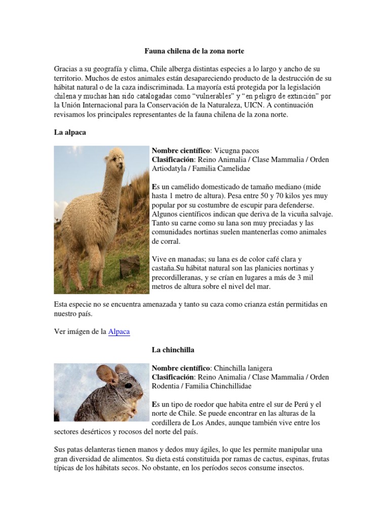 Fauna del Norte de Chile: Especies Clave | PDF | Naturaleza