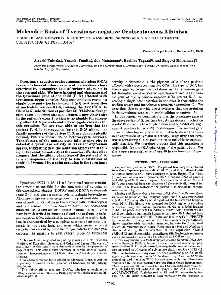 Molecular Basis of a Single Base Substitution Mutation in the ...
